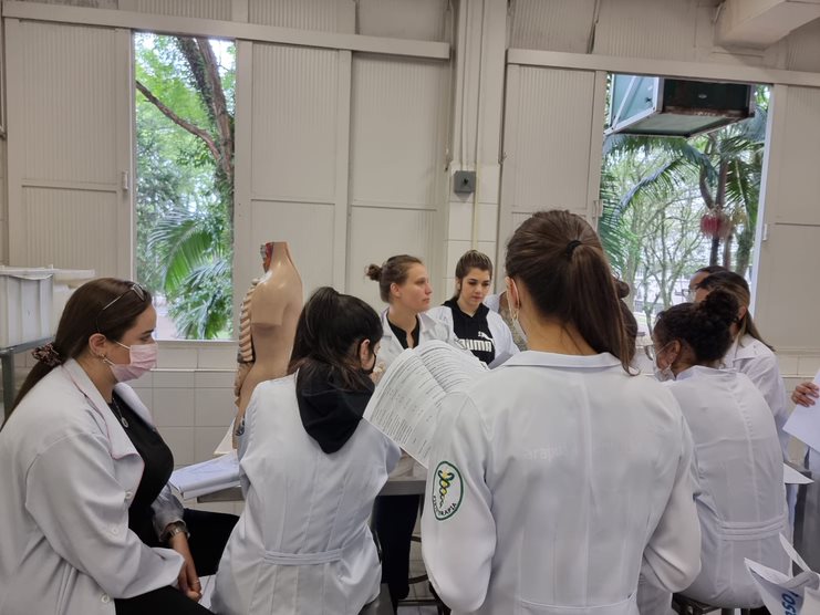 UMESP promove Minicurso de Neuroanatomia — Universidade Metodista de ...